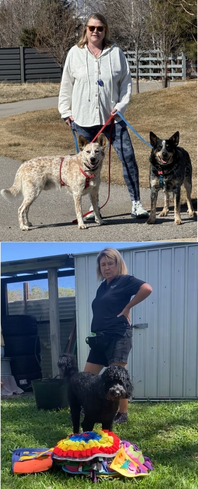 Canine Body Language Explained - Choose To Train Humane